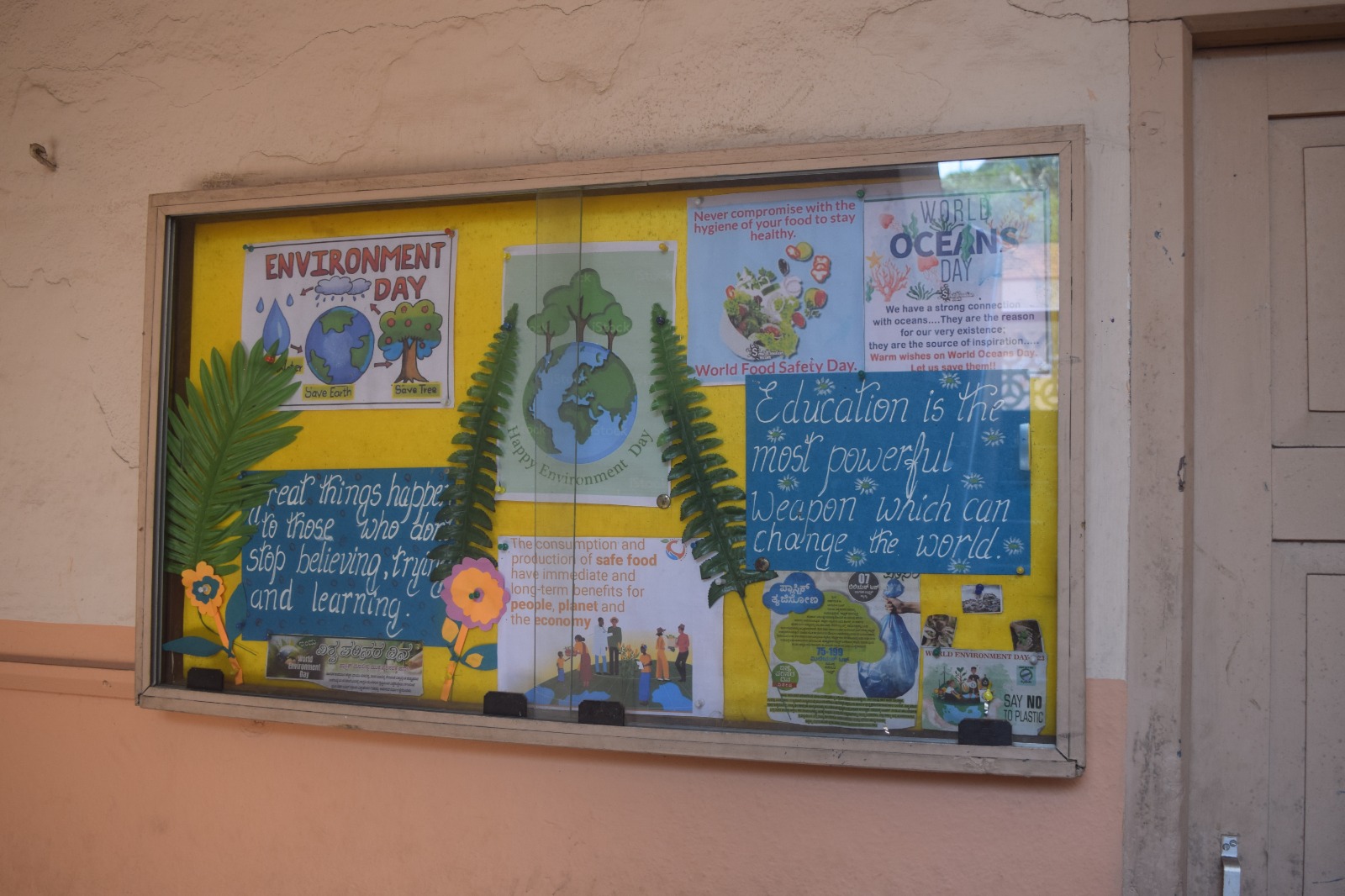 World Environment Day Report – 2023 – St Aloysius Primary School ...